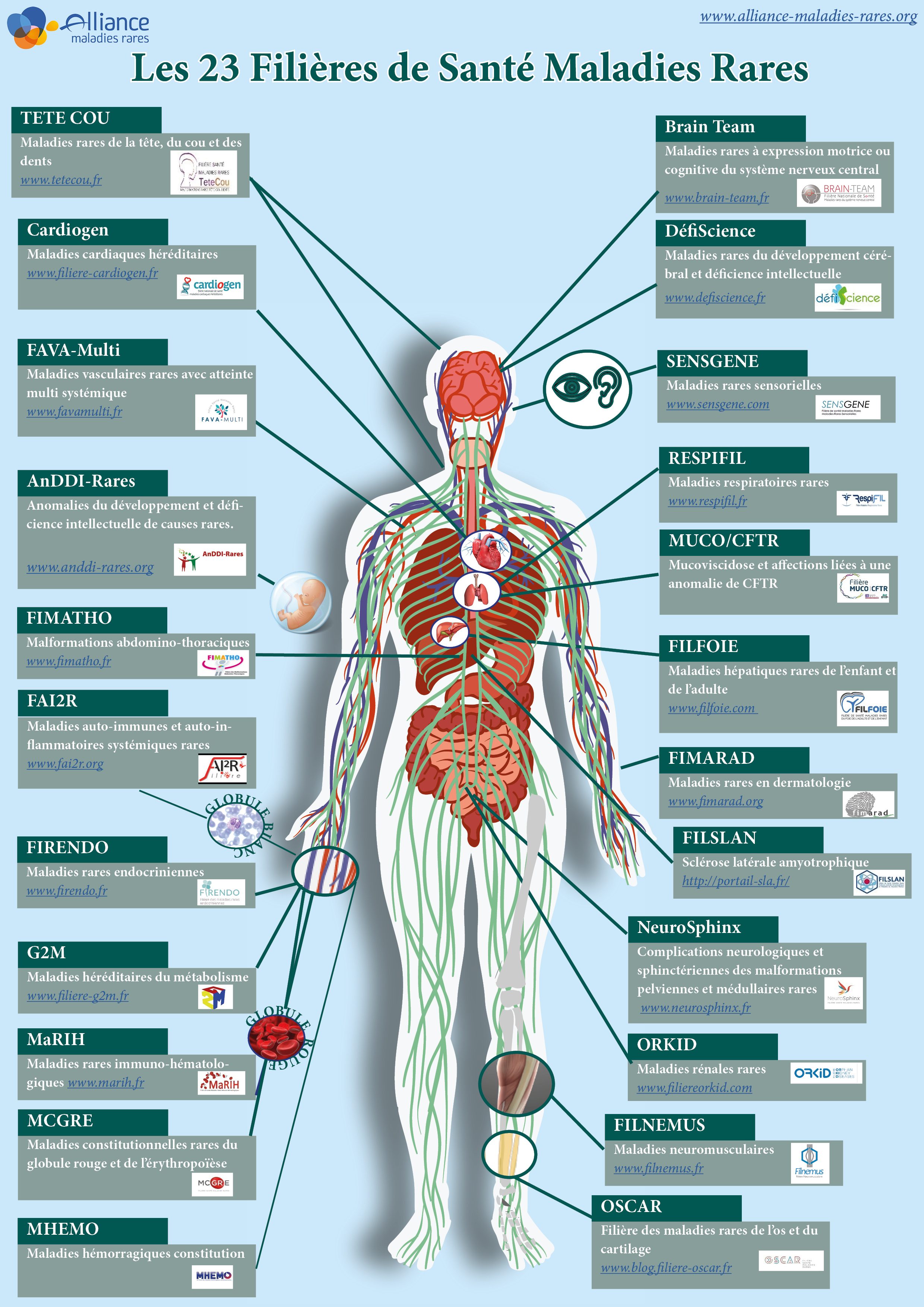Bien comprendre le rôle des Filières Maladies Rares - Prader-Willi France